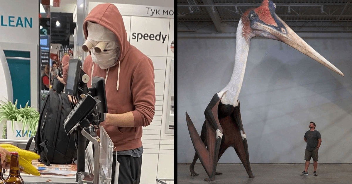 13 Weird and Interesting Photos From the "WTF" Online Group