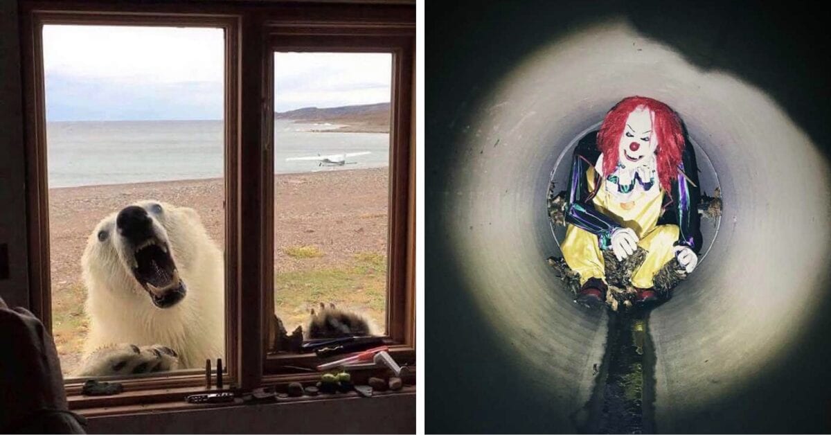 All the Photos From This Online Group Will Make You Say "WTF"?