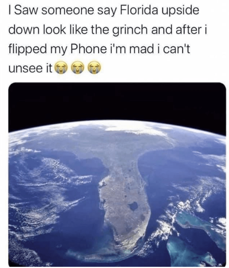 13 Hysterical Memes to Make Your Day