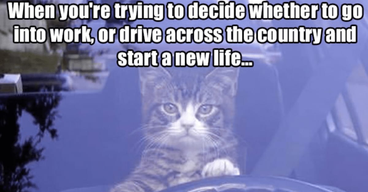 If You're Fed Up With Working, These Memes Will Speak to Your Soul