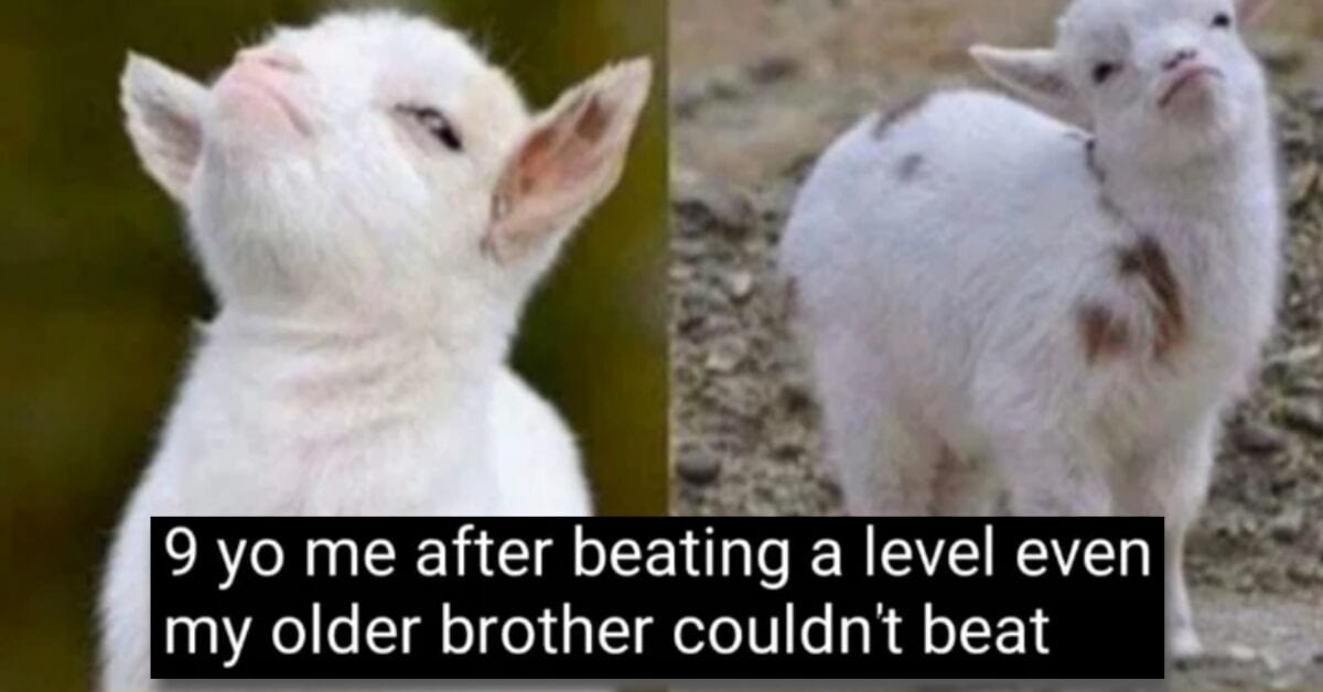 13 Hysterical Memes That You Will Love