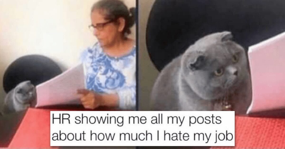 Are You Totally Over Your Job? Then These Memes Are for You!