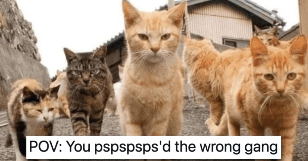 12 Memes to Put a Huge Grin on Your Face