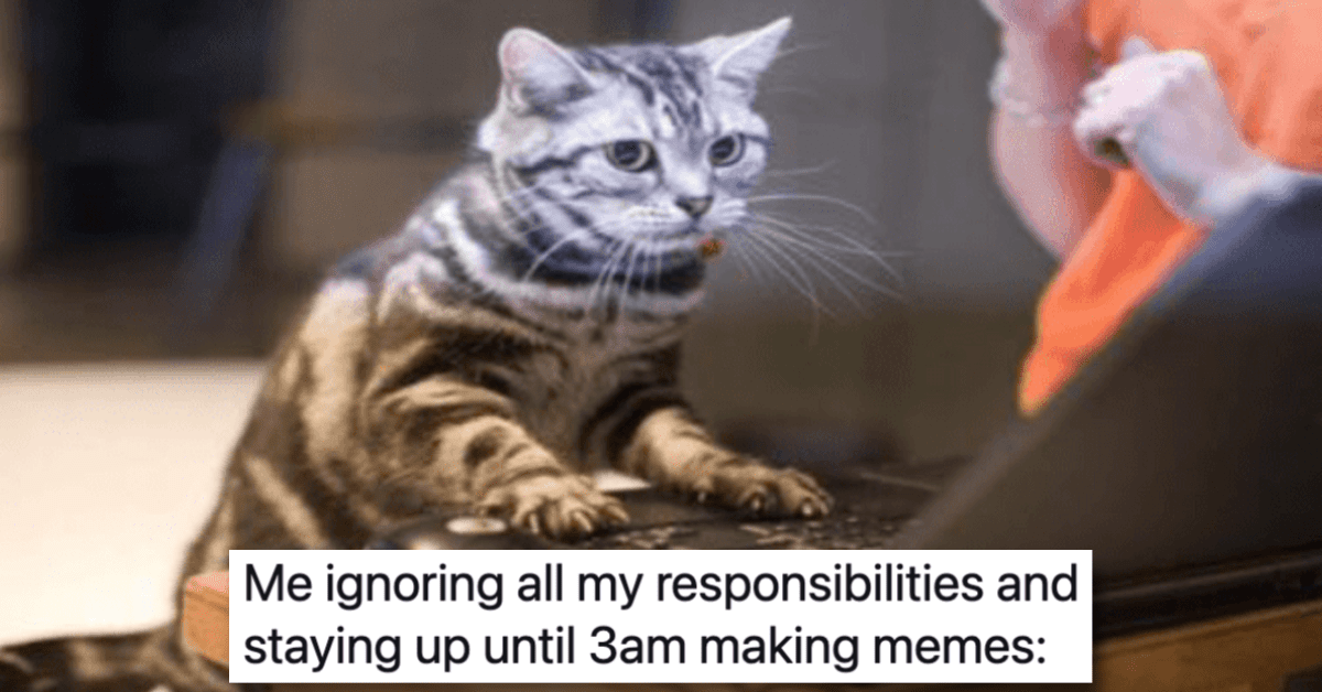 Are You Ready to LOL? These Memes Are Gonna Help You Out!