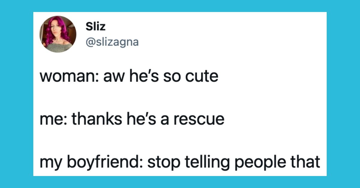 12 Great Tweets to Make You LOL