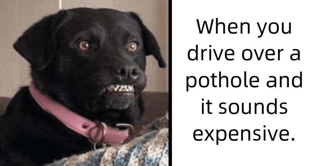 12 Hysterical Memes That Are Just Perfect