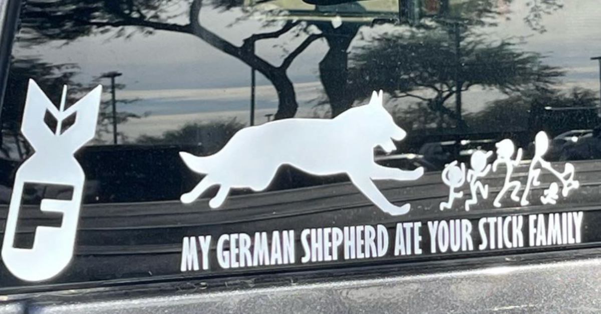 10 Bumper Stickers That Will Make You Giggle