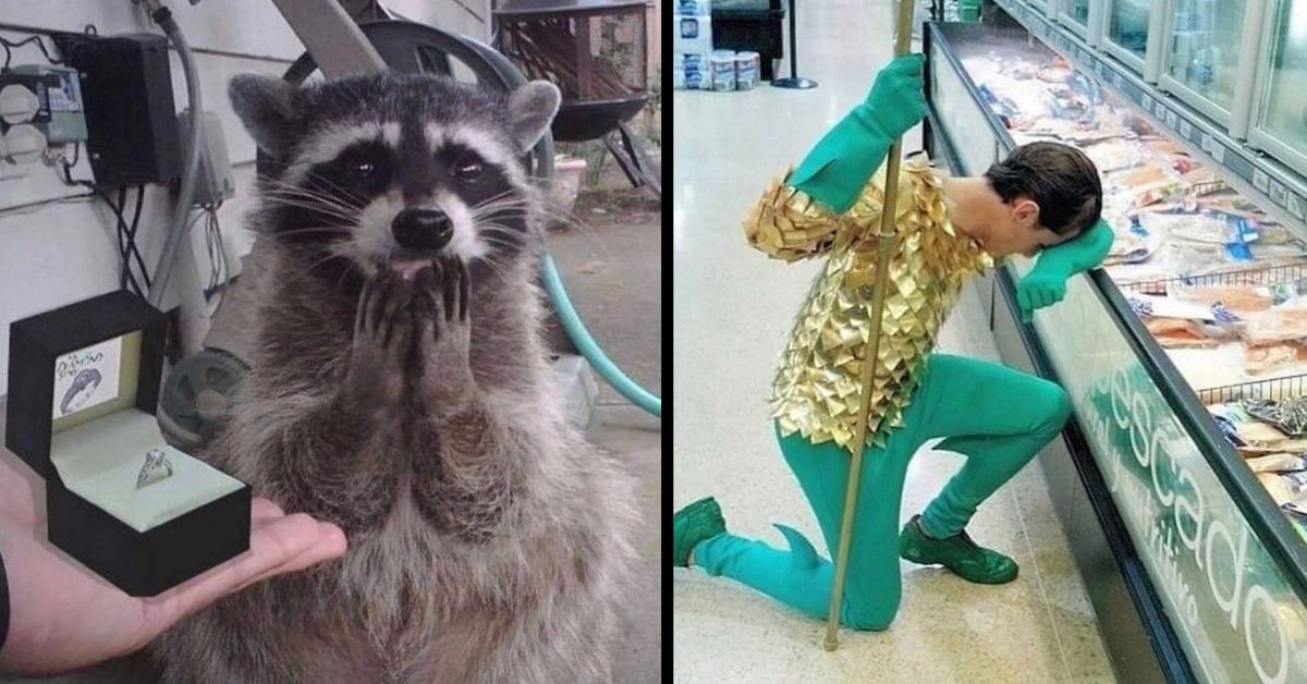 12 Very Strange Photos That Will Make You Giggle and Shake Your Head