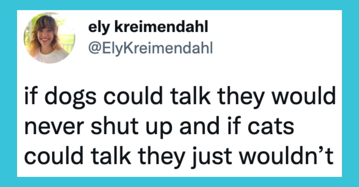 11 Hilarious Tweets That Are a Real Hoot!